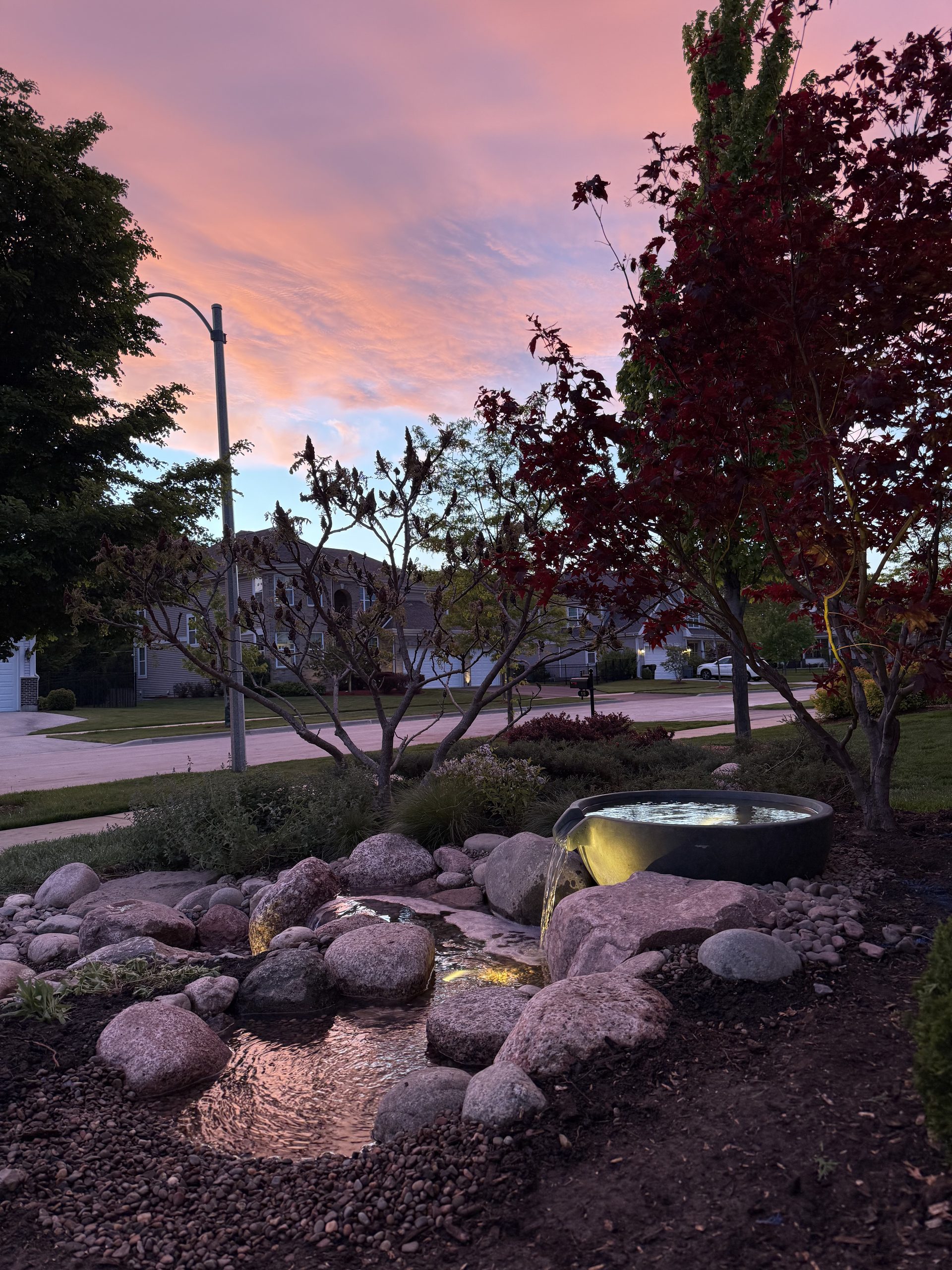 Create Stunning Water Features to Attract Local Birds
